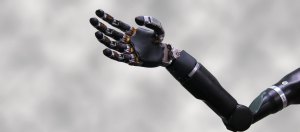 The History of Prosthetics – The Crusader News
